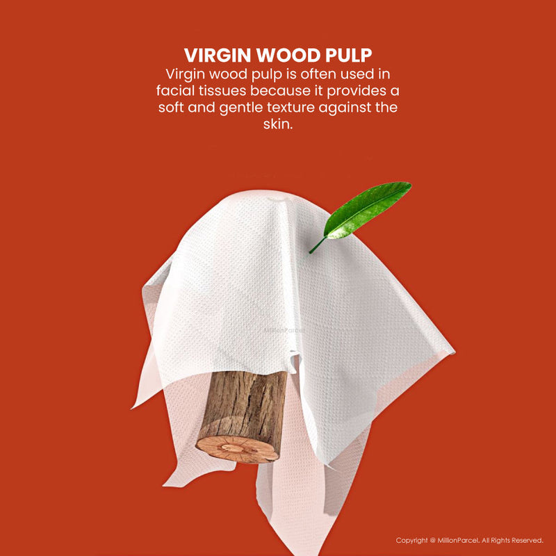 Botare Facial Tissue 4ply | Cheerful Design