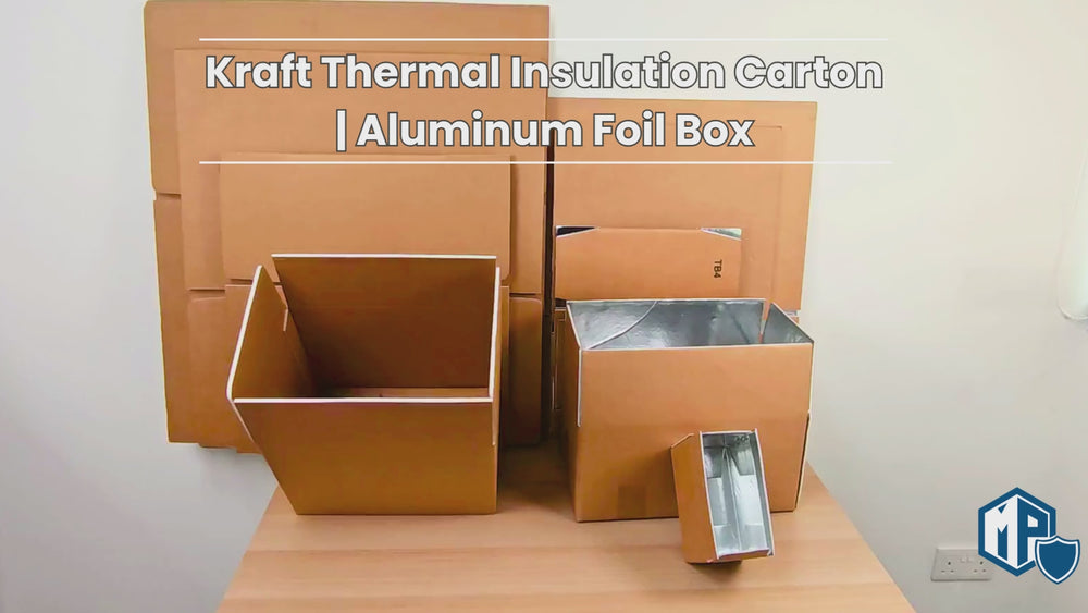 Thermal Insulation Carton Box for Cold Chain & Food Packaging